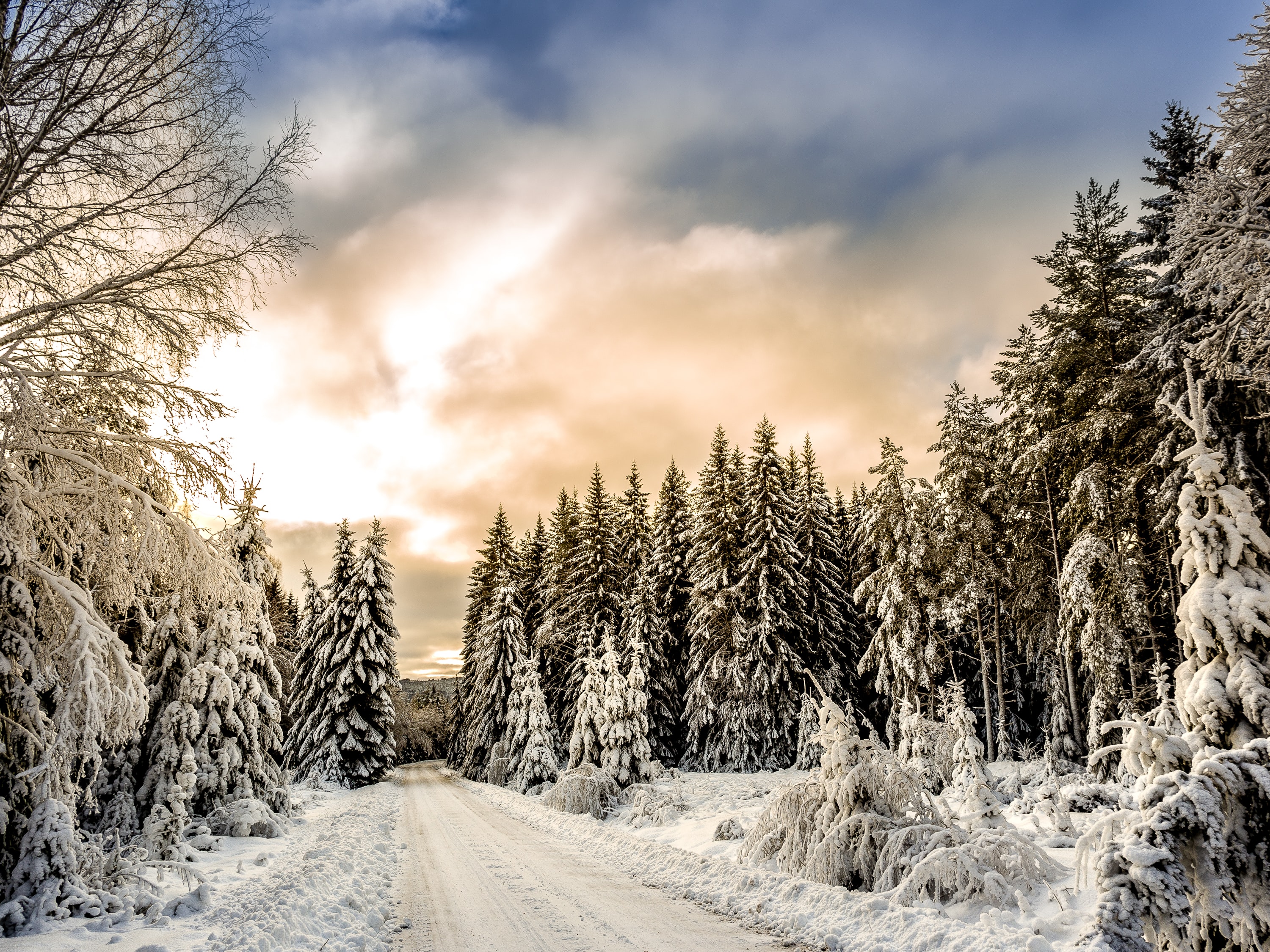 Julquiz 2019 & tipspromenad om julen | Frågesport & musikquiz